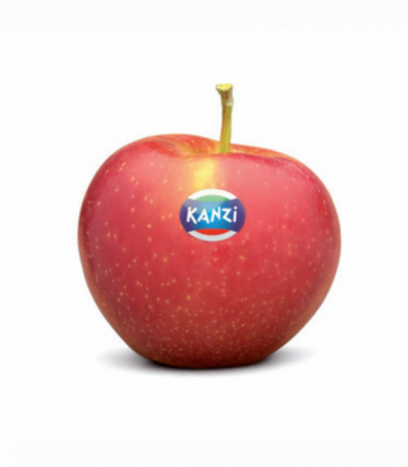 MANZANA GOLDEN VAL VENOSTA 1 M